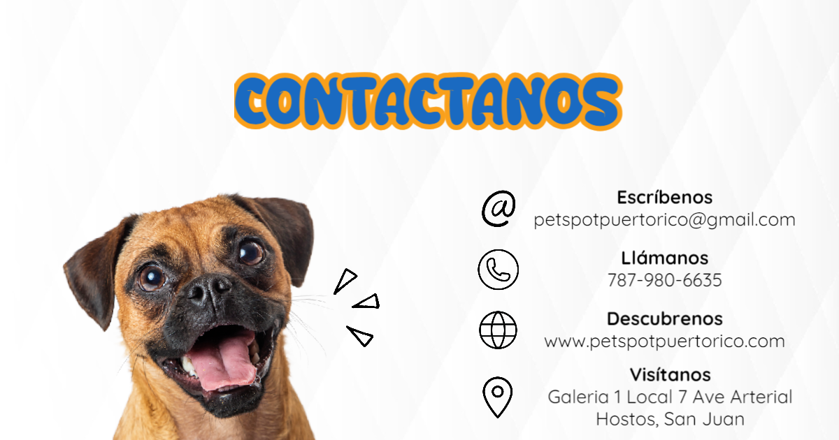 Contacto